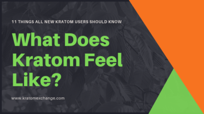 What Does Kratom Feel Like? 11 Things Every New Kratom User Should Know ...